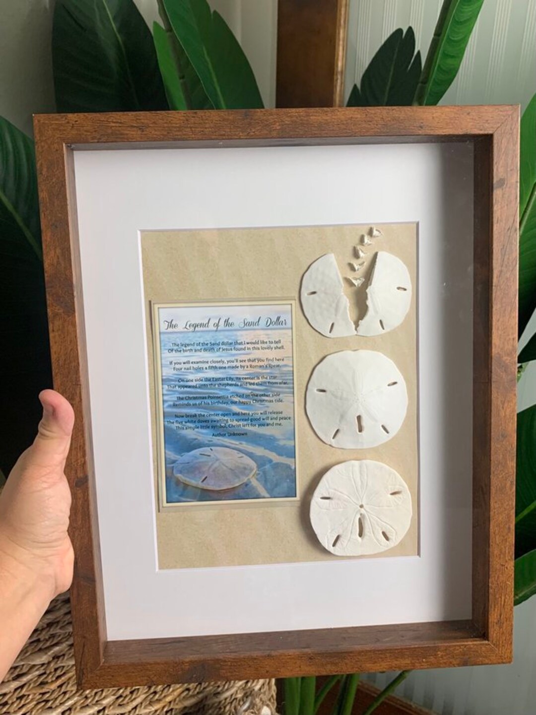 Sand Dollar Legend Poem Shadowbox: Coastal Christian Art (11"x14") - Etsy