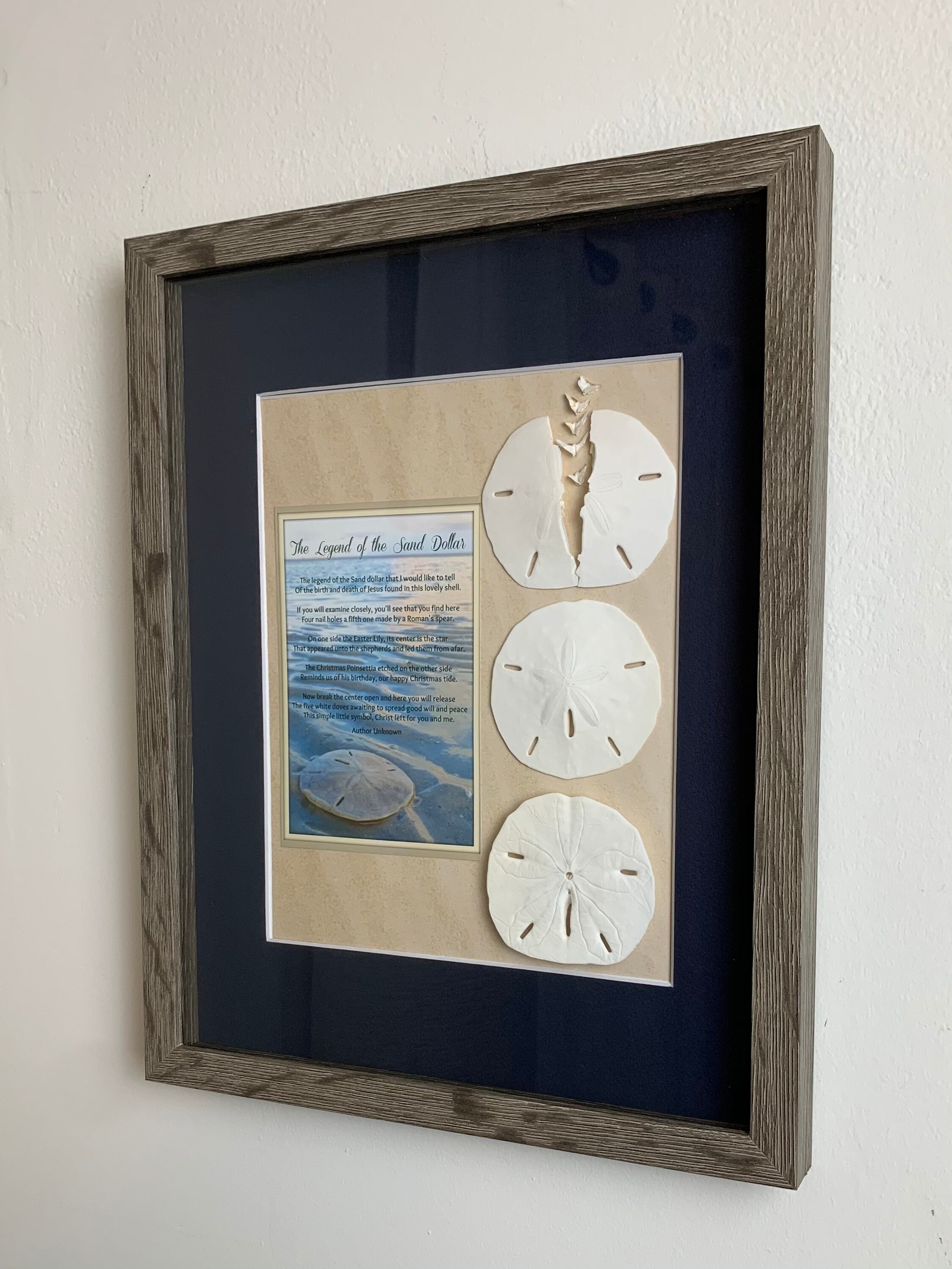 Sand Dollar Framed Art