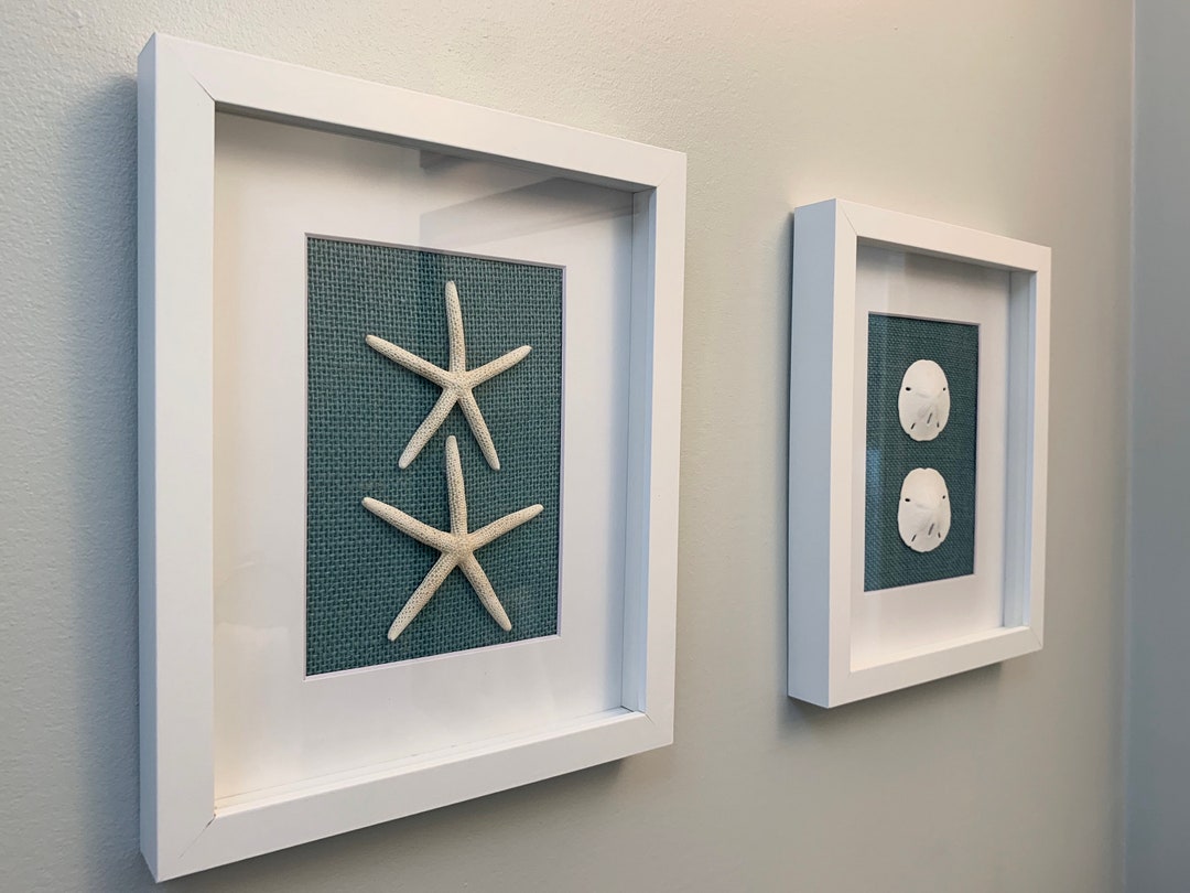 Coastal Wall Decor | Real Sand Dollars in Shadowbox Frame Set of 2 ...