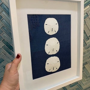 Sand Dollar Shadowbox Frame | Handmade Coastal Beach Home Decor ...