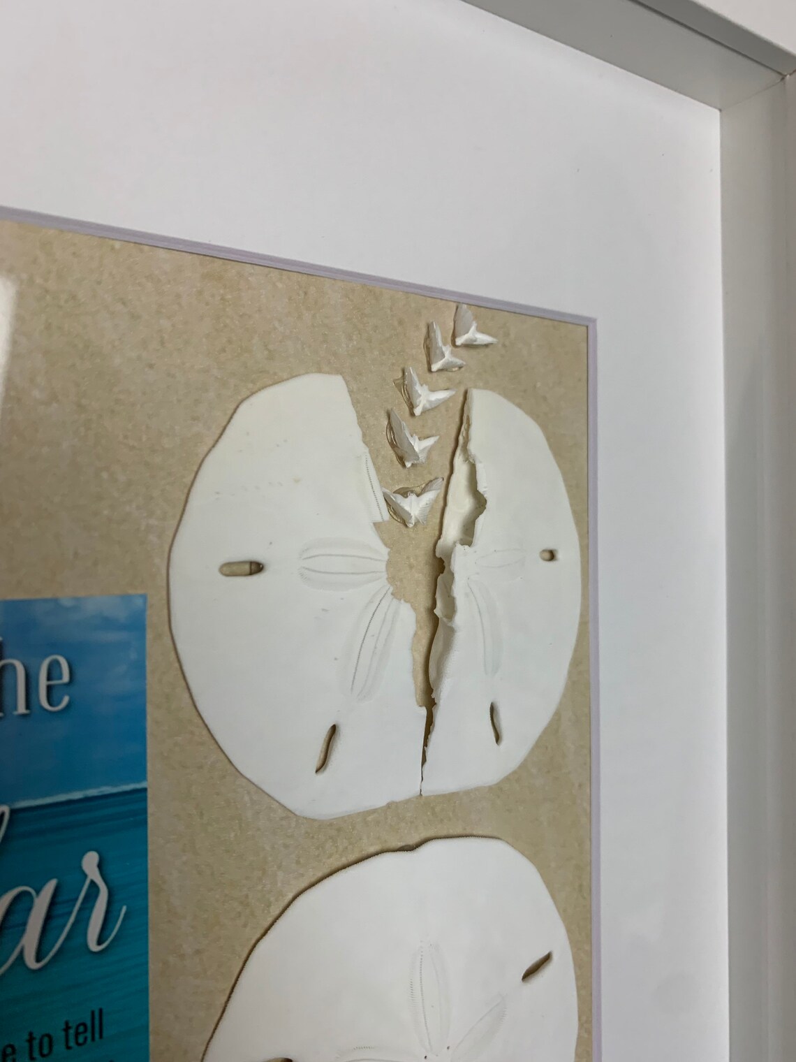 Legend of the Sand Dollar Poem Wall Art 11x14 Shadowbox | Etsy