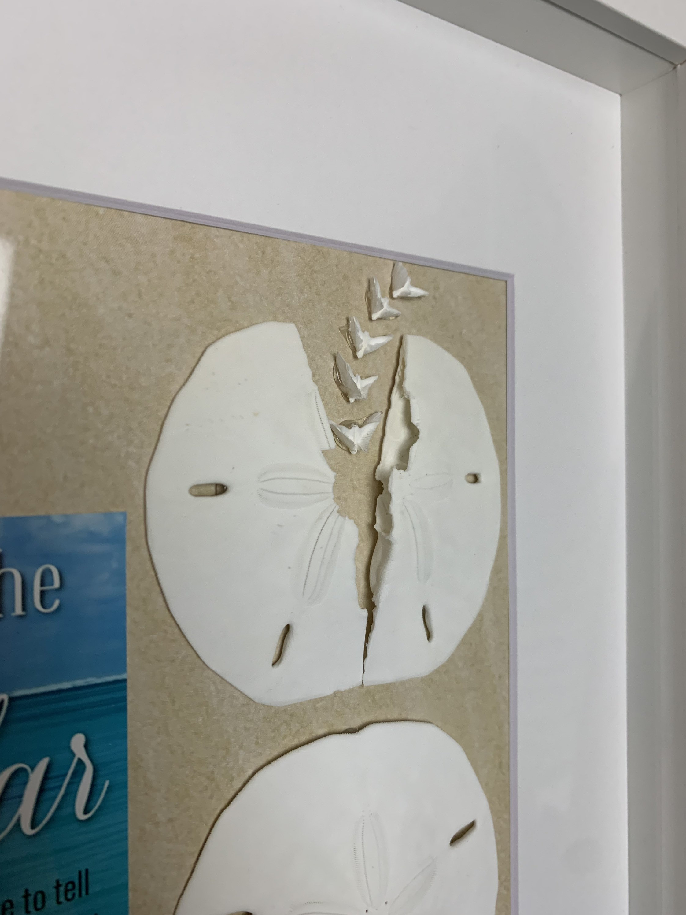 Legend of the Sand Dollar Poem Wall Art 11x14 Shadowbox | Etsy