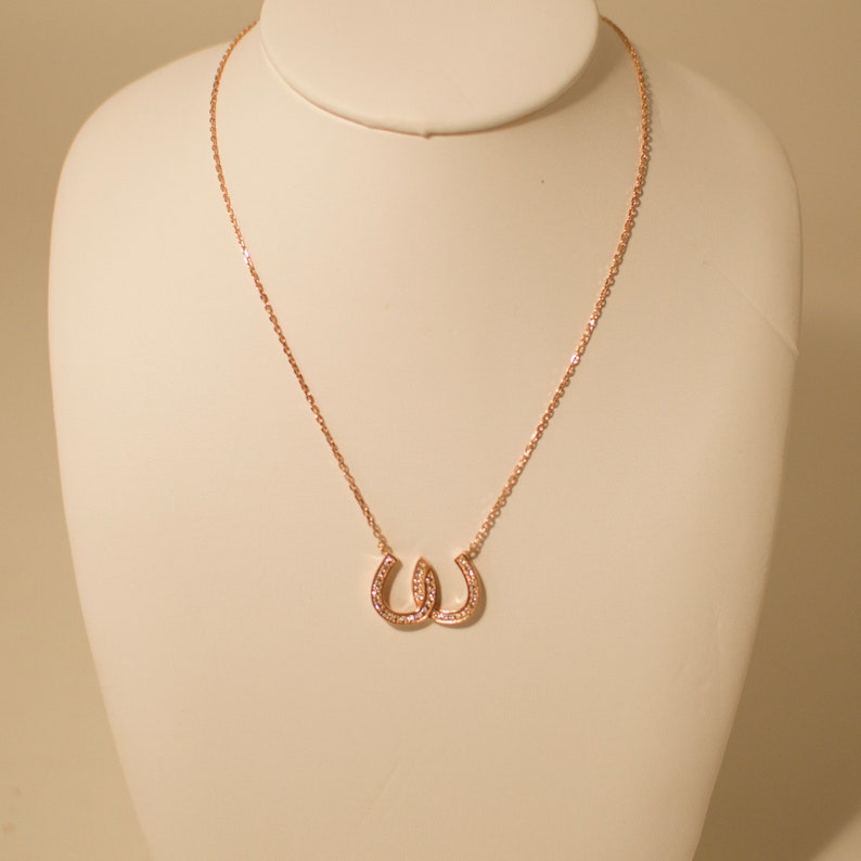 The 'silver and Rose Gold Collection' Double Horseshoe Necklace - Etsy