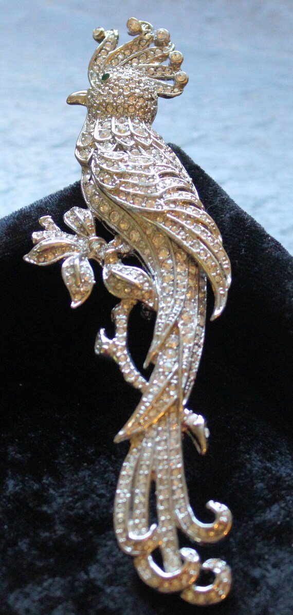 Cute cockatoo pin brooch - Gem