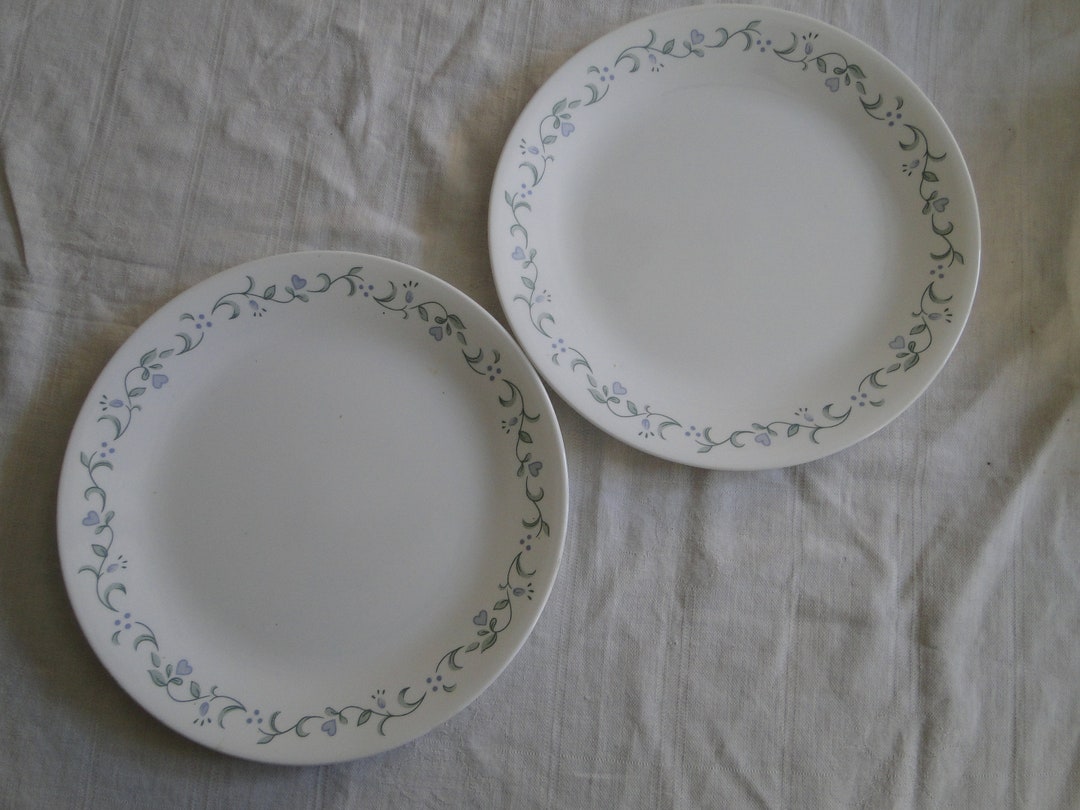 Set of 2 Corning Corelle COUNTRY COTTAGE Pattern 10-1/4" Dinner Plates ...