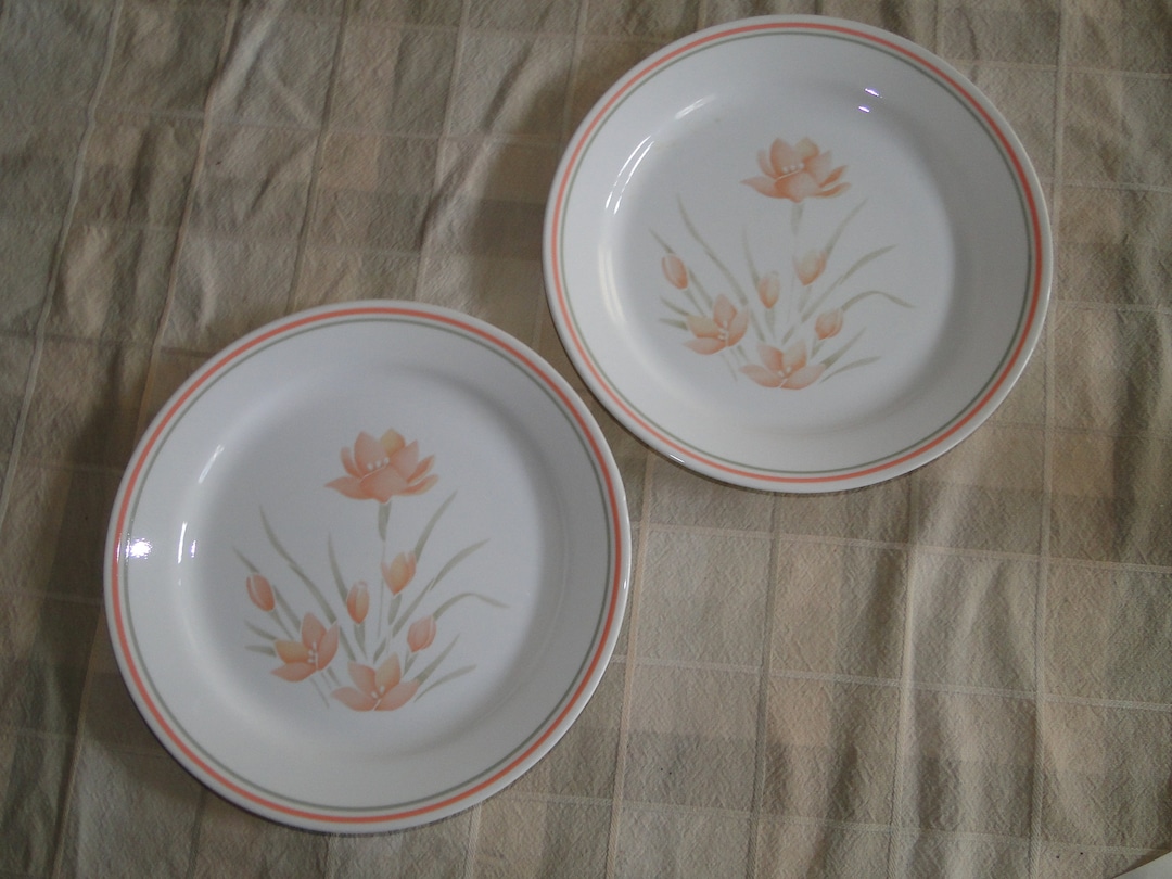 Set of 2 Corning Corelle PEACH FLORAL Pattern 10-1/4" Dinner Plates - Etsy