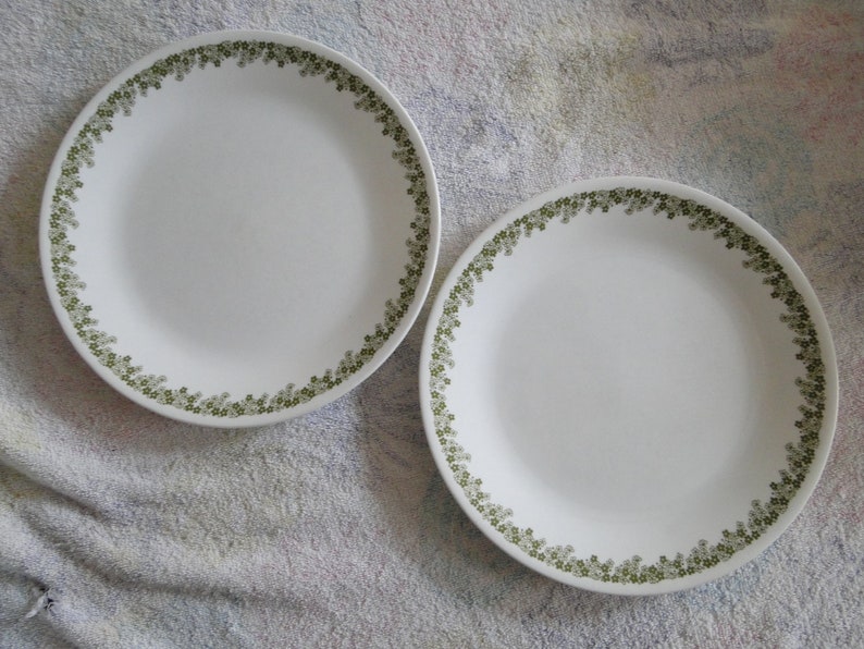 Set of 2 Corning Corelle SPRING BLOSSOM GREEN Pattern 10-1/4" Dinner ...