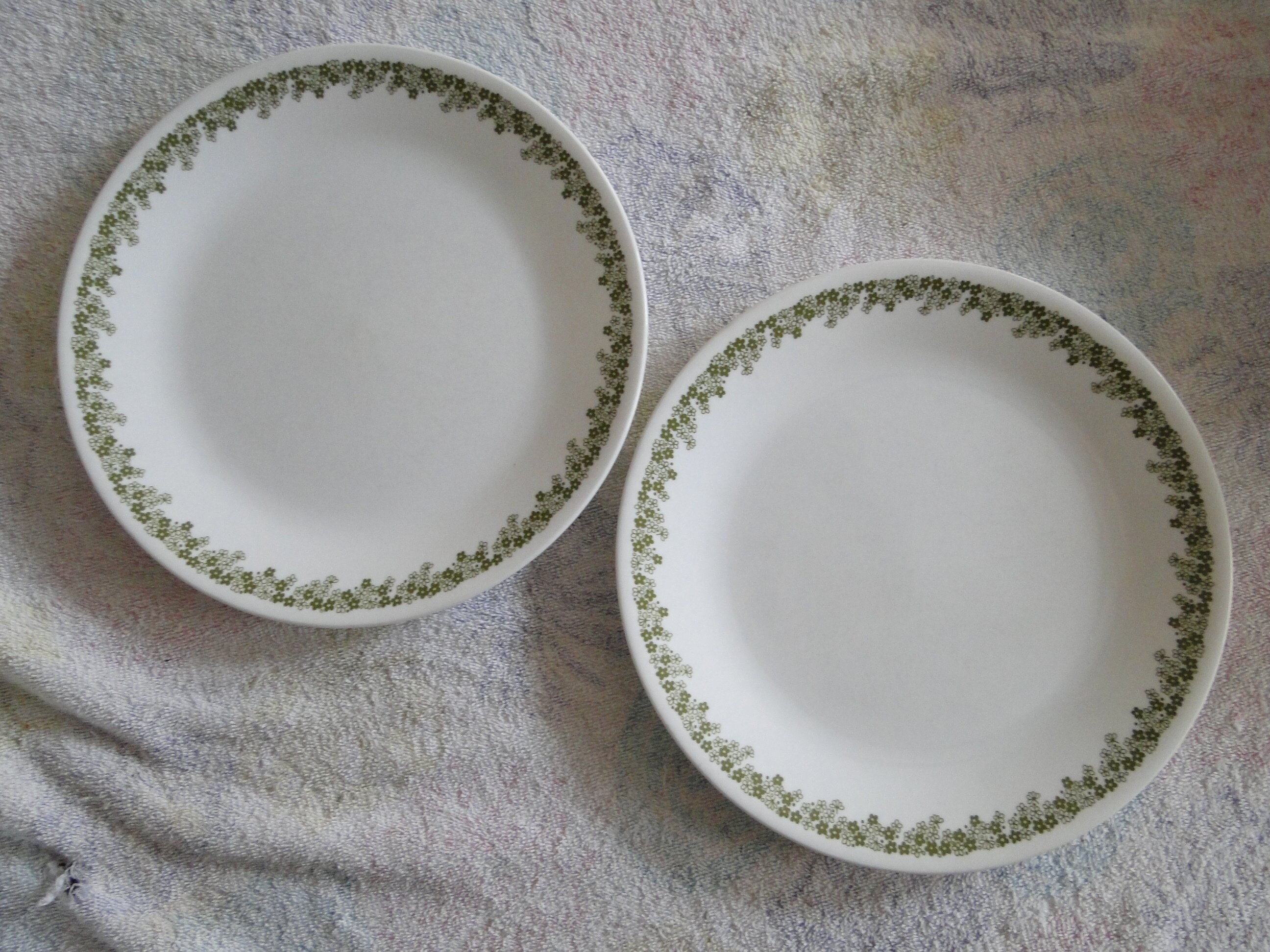 Set of 2 Corning Corelle SPRING BLOSSOM GREEN Pattern 10-1/4 Dinner ...