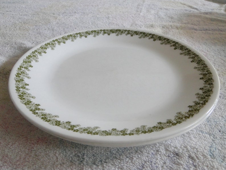 Set of 2 Corning Corelle SPRING BLOSSOM GREEN Pattern 10-1/4 Dinner ...