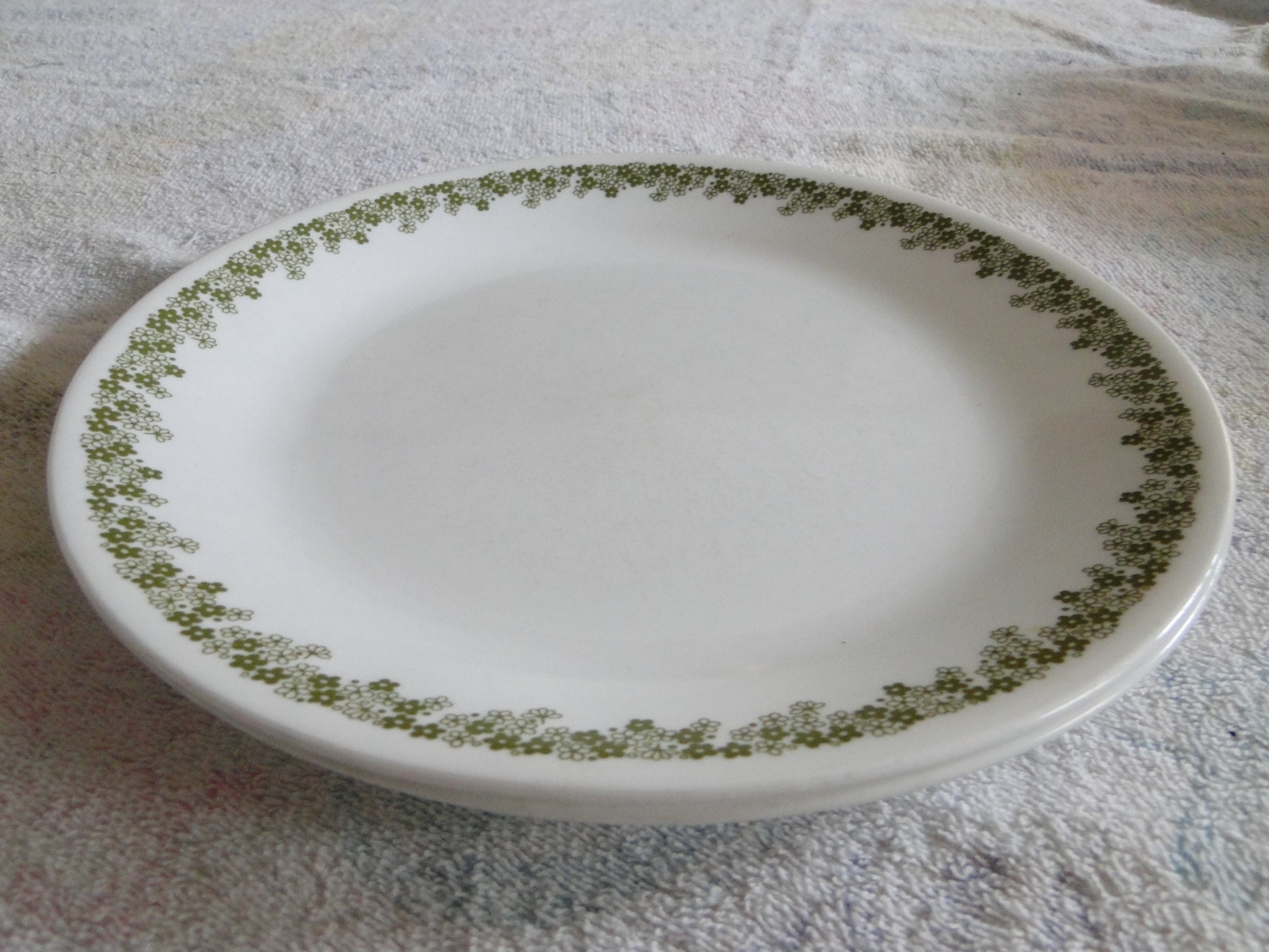 Set of 2 Corning Corelle SPRING BLOSSOM GREEN Pattern 10-1/4 Dinner ...