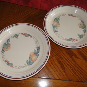 Set of 2 Corning Corelle ABUNDANCE Pattern 8-1/2 - Etsy