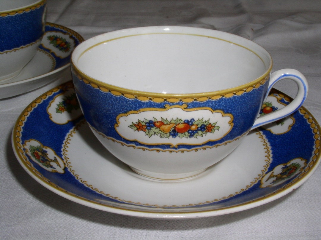 Myott Staffordshire HARVEST 1613 Pattern Cup & Saucer Set - Blue Rim W ...
