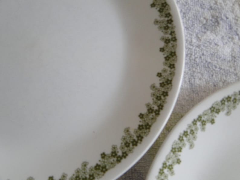 Set of 2 Corning Corelle SPRING BLOSSOM GREEN Pattern 10-1/4 Dinner ...