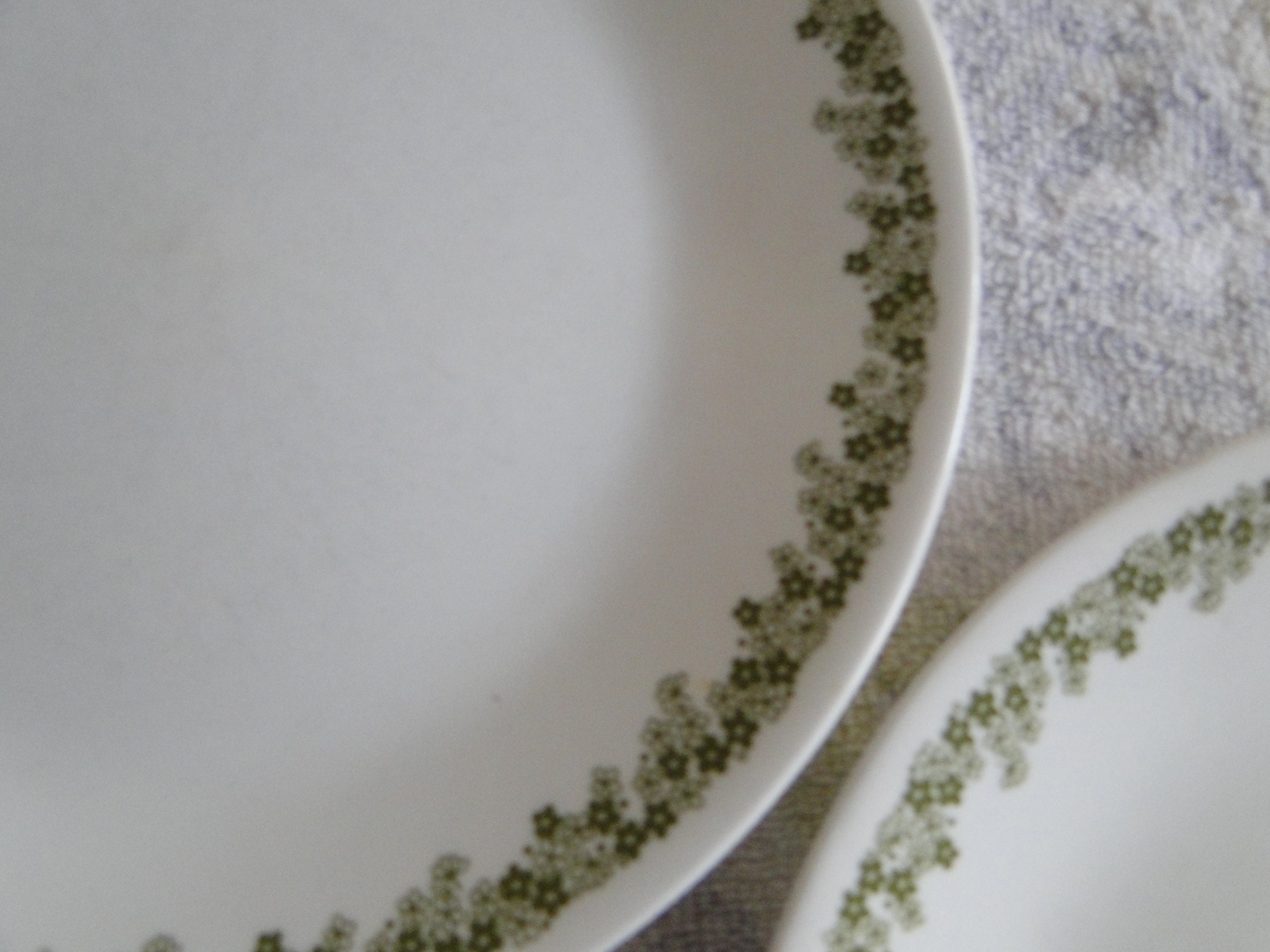 Set of 2 Corning Corelle SPRING BLOSSOM GREEN Pattern 10-1/4 Dinner ...