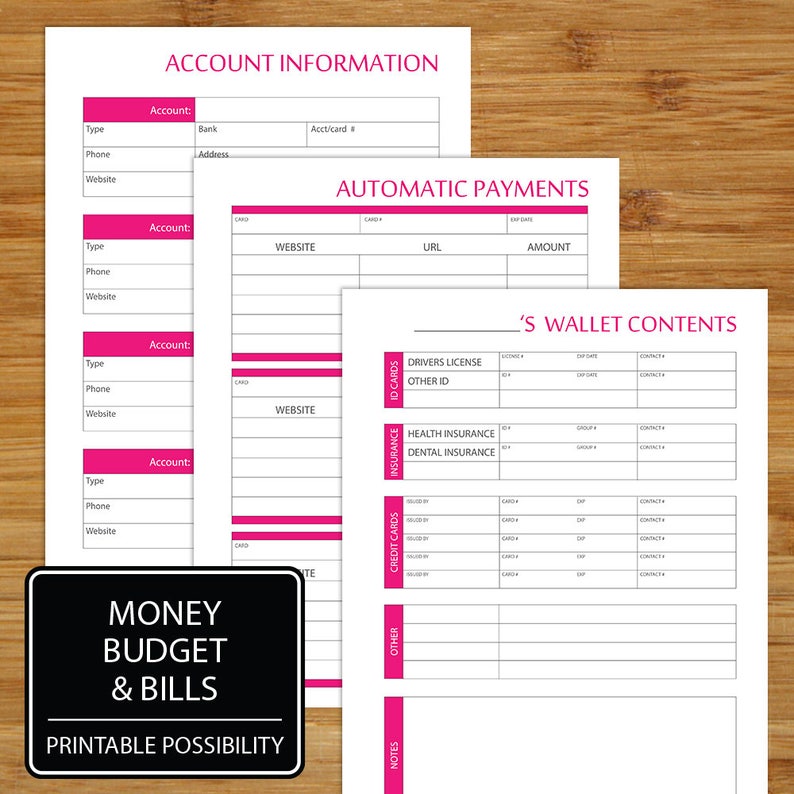 Money Budget and Bills Planner in Pink 8.5 by 11 Inches Financial ...