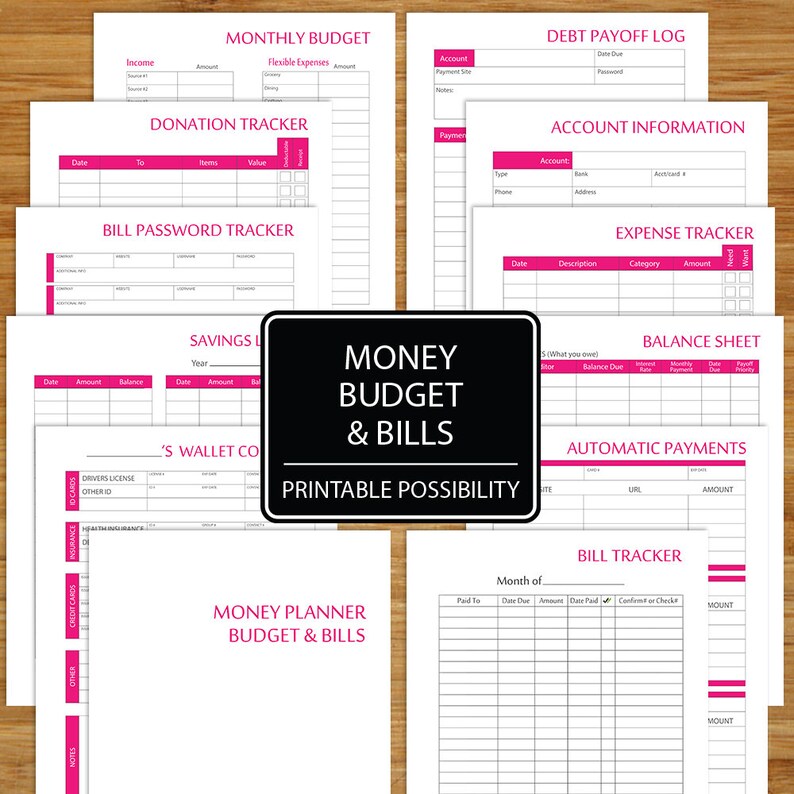 Money Budget and Bills Planner in Pink 8.5 by 11 Inches Financial ...