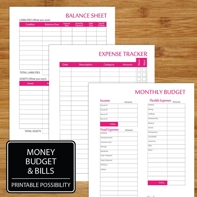 Money Budget and Bills Planner in Pink 8.5 by 11 Inches Financial ...