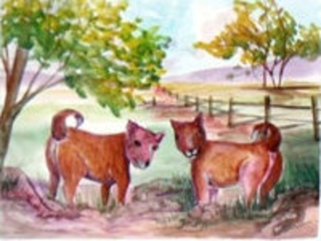 Dog Wall Art, Watercolor Art, Rustic Wall Art, Art Decor, Modern Wall ...