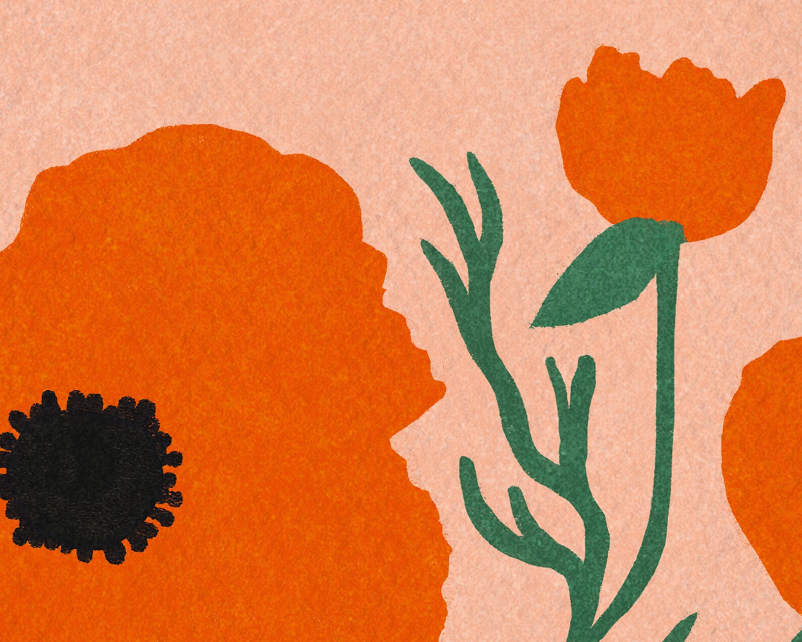 Art Print Poppies 21x30 - Colorful Poppy Boquet - Illustrated Flowers ...