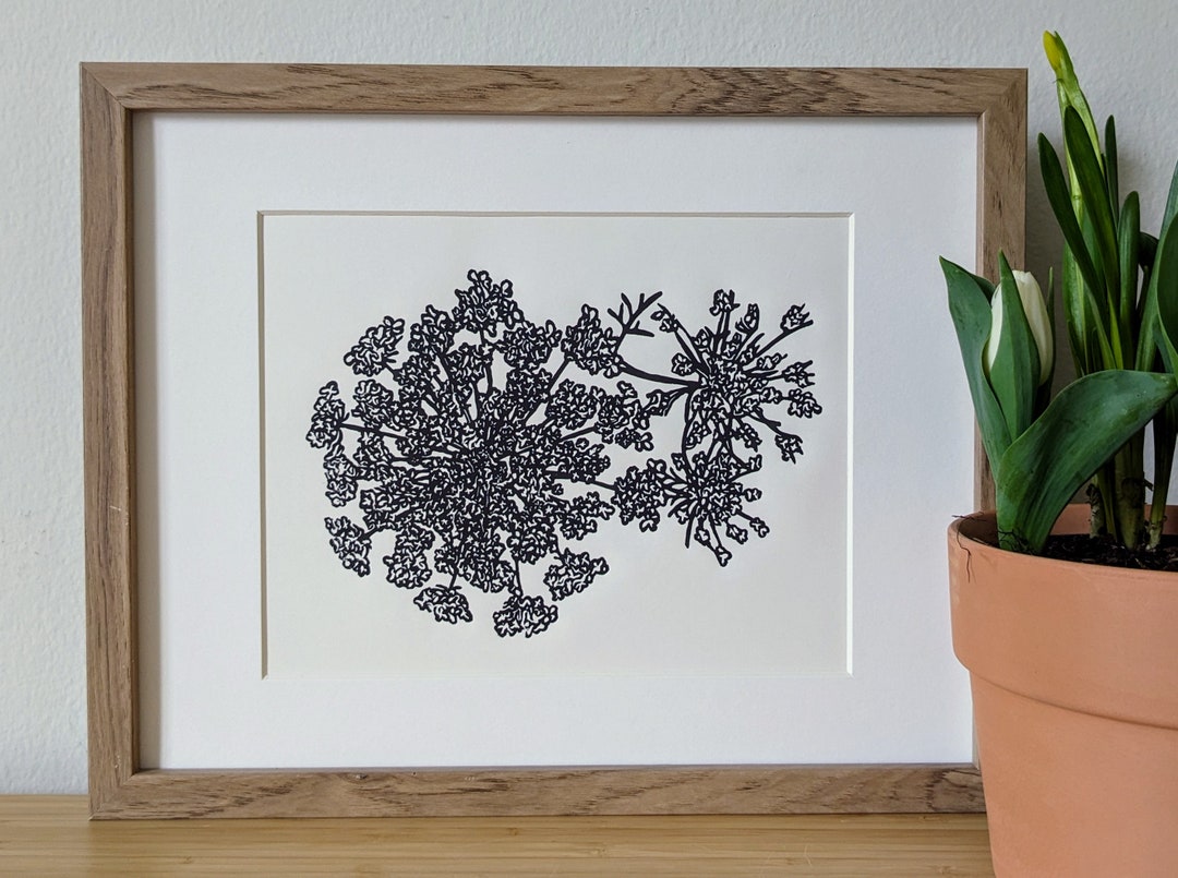 Queen Anne's Lace Original Handmade 8x10 Linocut Print, Black Ink on ...