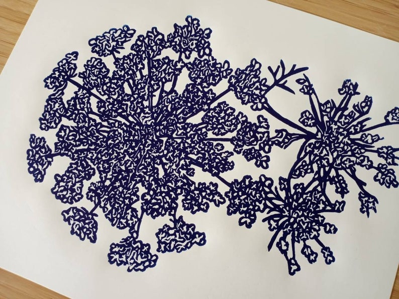 Queen Anne's Lace Original Handmade 8x10 Linocut Print, Blue Ink on ...