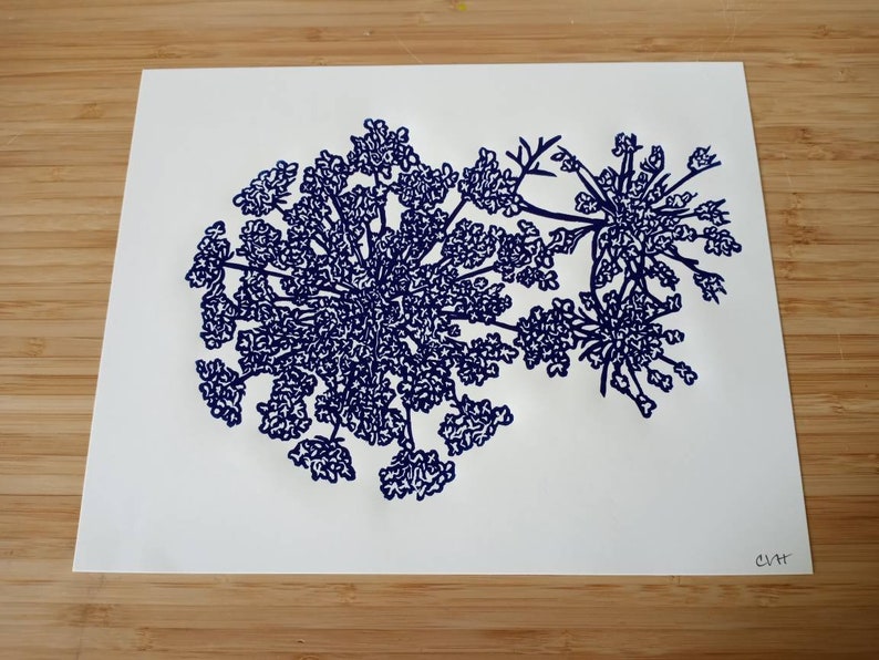 Queen Anne's Lace Original Handmade 8x10 Linocut Print, Blue Ink on ...