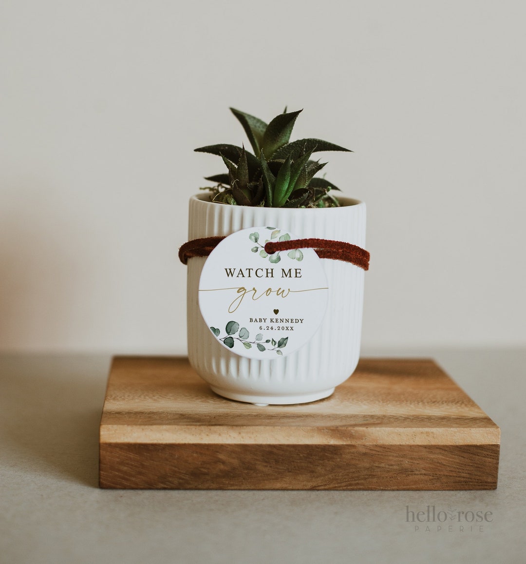 Watch Me Grow Baby Shower Tags Stickers Labels Template . Succulent ...