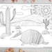 Armadillo Desert Coloring Sheet for Adults and Kids / Armadillo ...