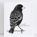 Colorado Lark Bunting State Bird Art Print / Colorado Decor / Lark ...