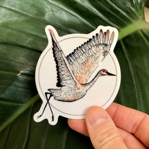 Sandhill Crane - Etsy