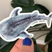 Whale Shark Sticker / Ocean Sticker / Animal Sticker / Sea Creature ...