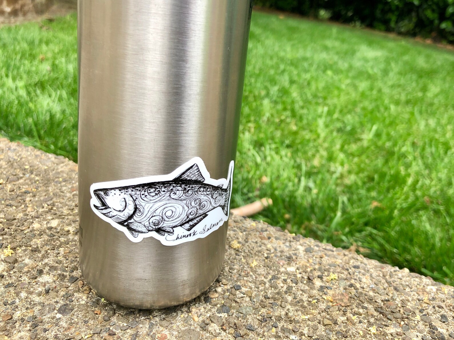 Chinook Salmon Vinyl Sticker Salmon T Pacific Northwest Etsy