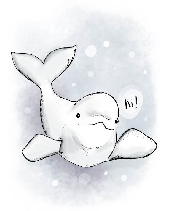 Cute Baby Beluga Whale