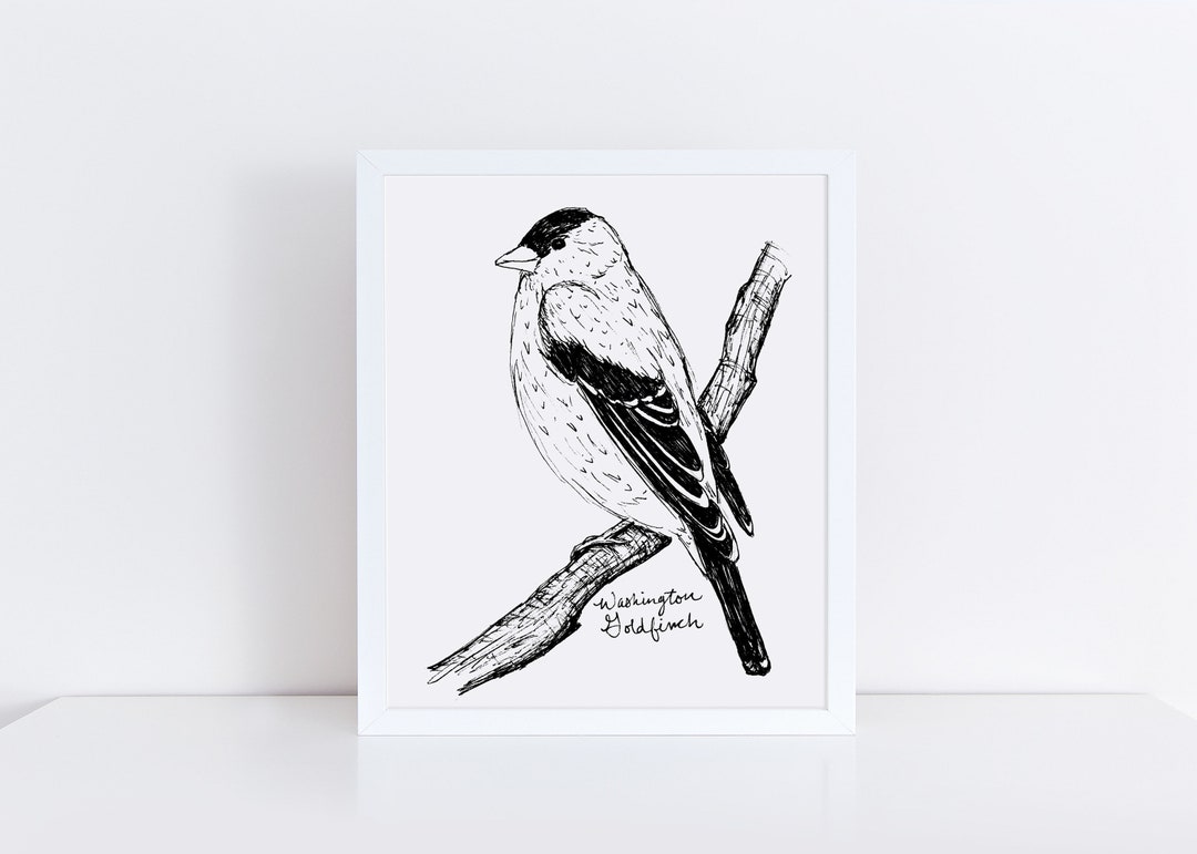 Washington Goldfinch State Bird Art Print / Washington Decor ...