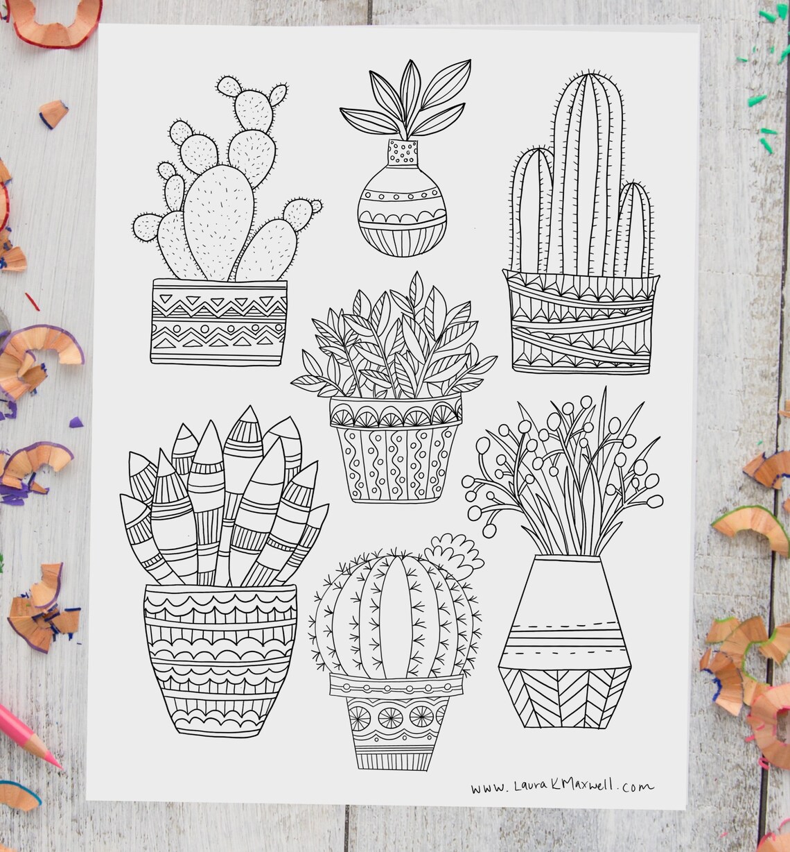 Potted Plants Coloring Sheet for Adults and Kids / Succulent - Etsy