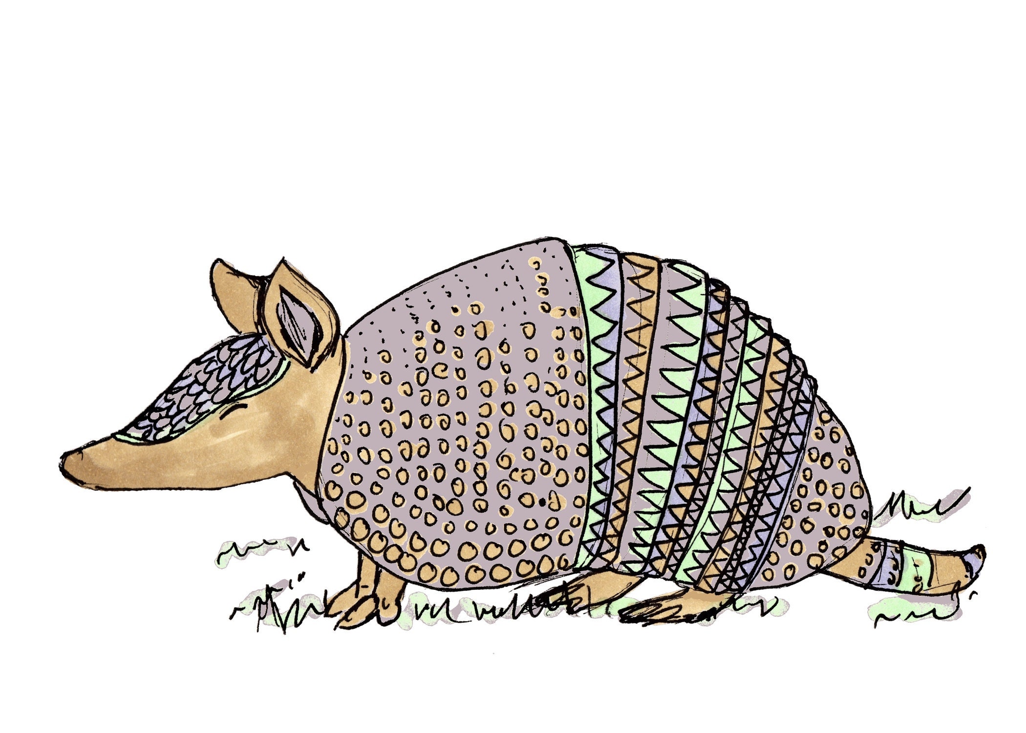 Armadillo Art Print / Armadillo Decor / Armadillo Wall Art / - Etsy