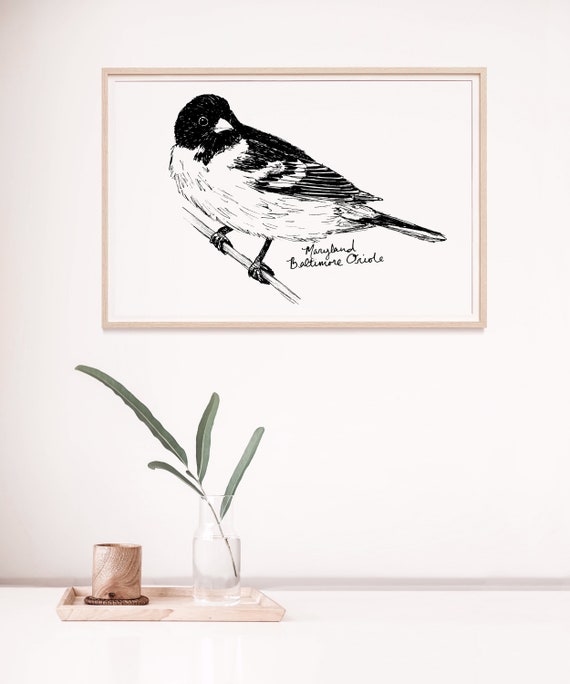 Maryland Baltimore Oriole State Bird Art Print / Maryland | Etsy