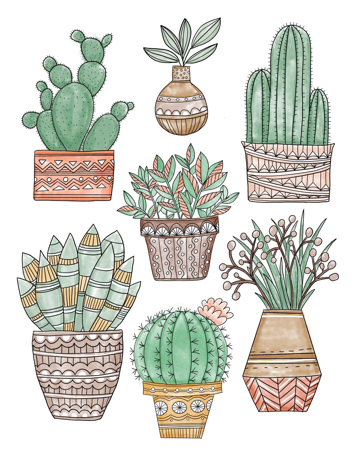 Potted Plants Coloring Sheet for Adults and Kids / Succulent - Etsy