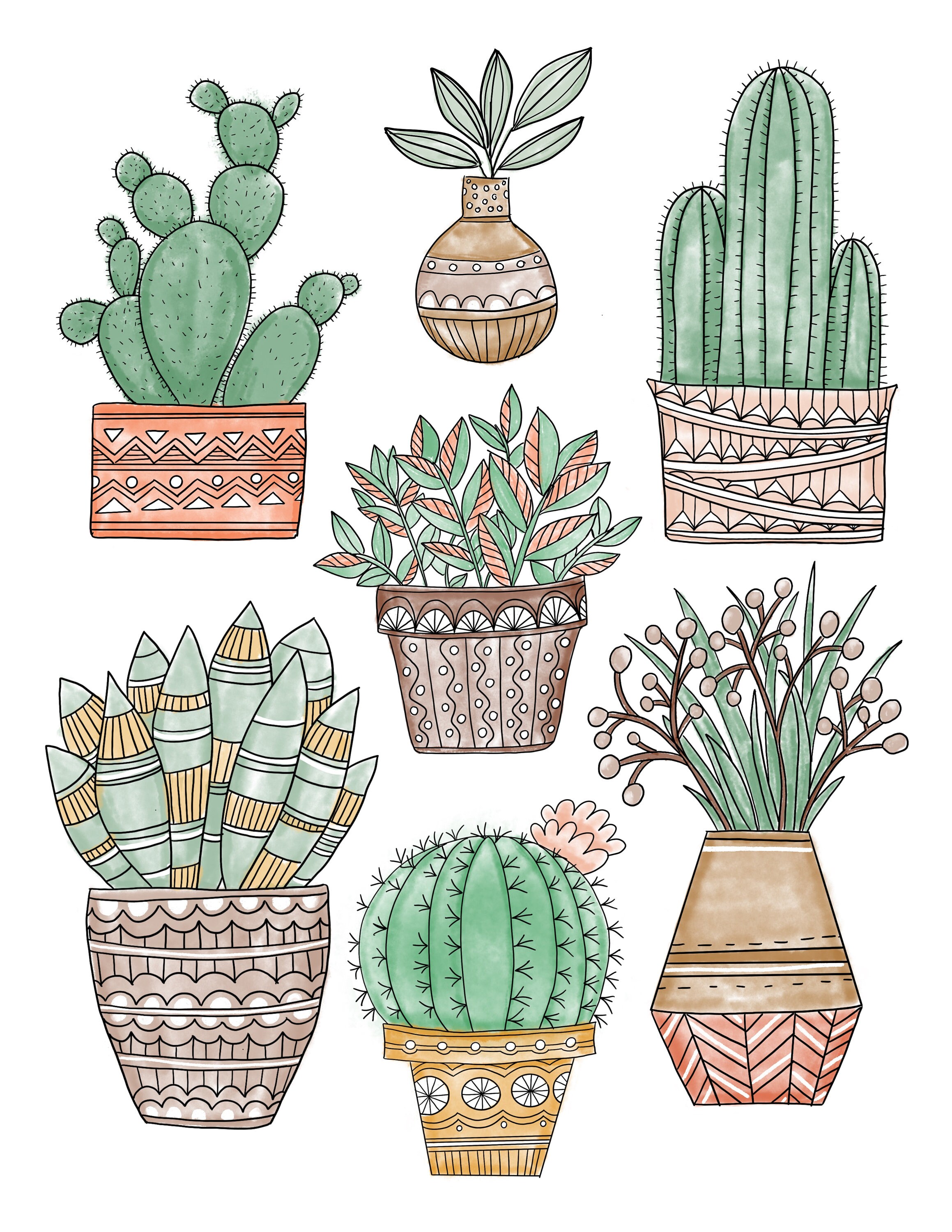 Potted Succulent Drawing