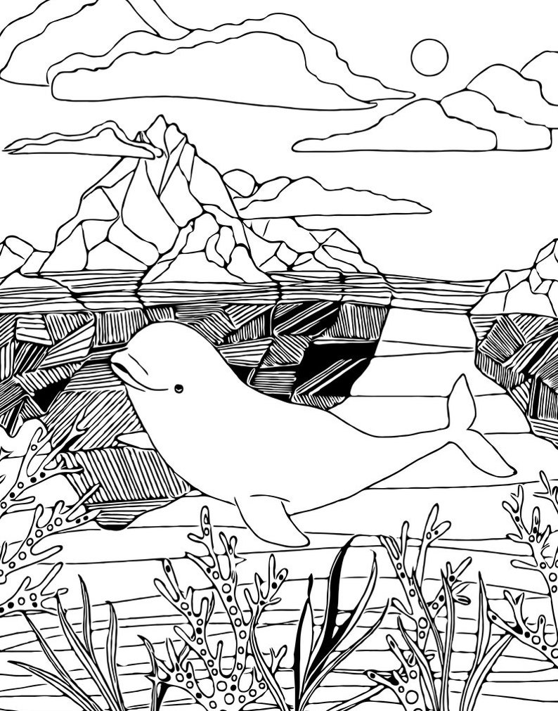 Baby Beluga With Glaciers Art Print / Fine Art Print / Cute | Etsy
