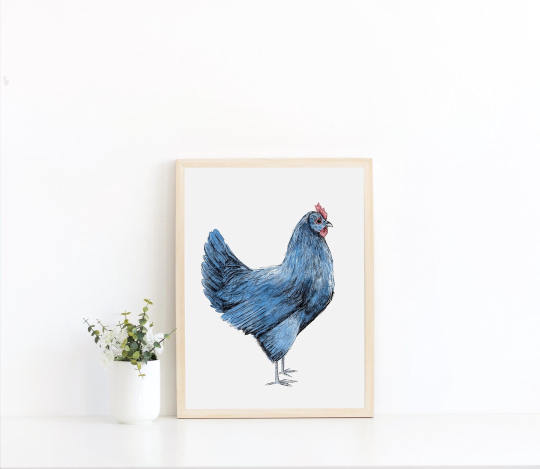 Blue Hen Art Print / Chicken Drawing / Bird Gift / Blue Chicken ...