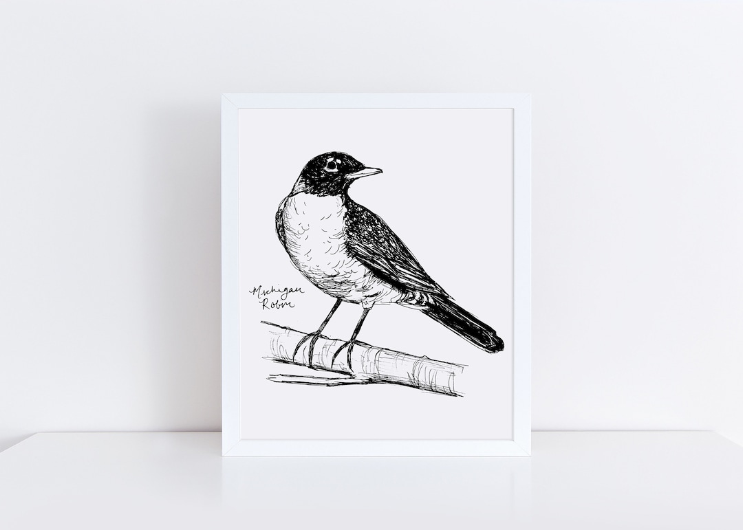 Michigan Robin State Bird Art Print / Michigan Decor / Robin - Etsy