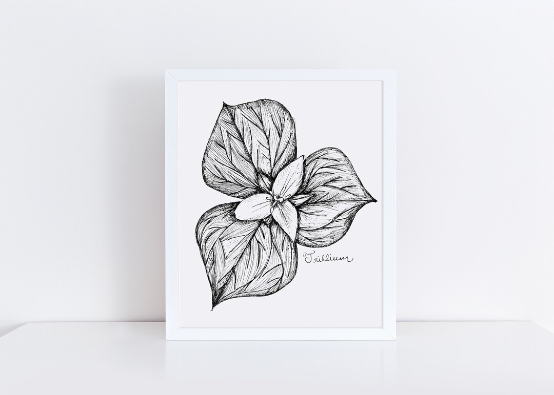 Trillium Flower Art Print / Botanical Art Print / Giclee Print / Flower ...