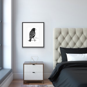 Colorado Lark Bunting State Bird Art Print / Colorado Decor / Lark ...