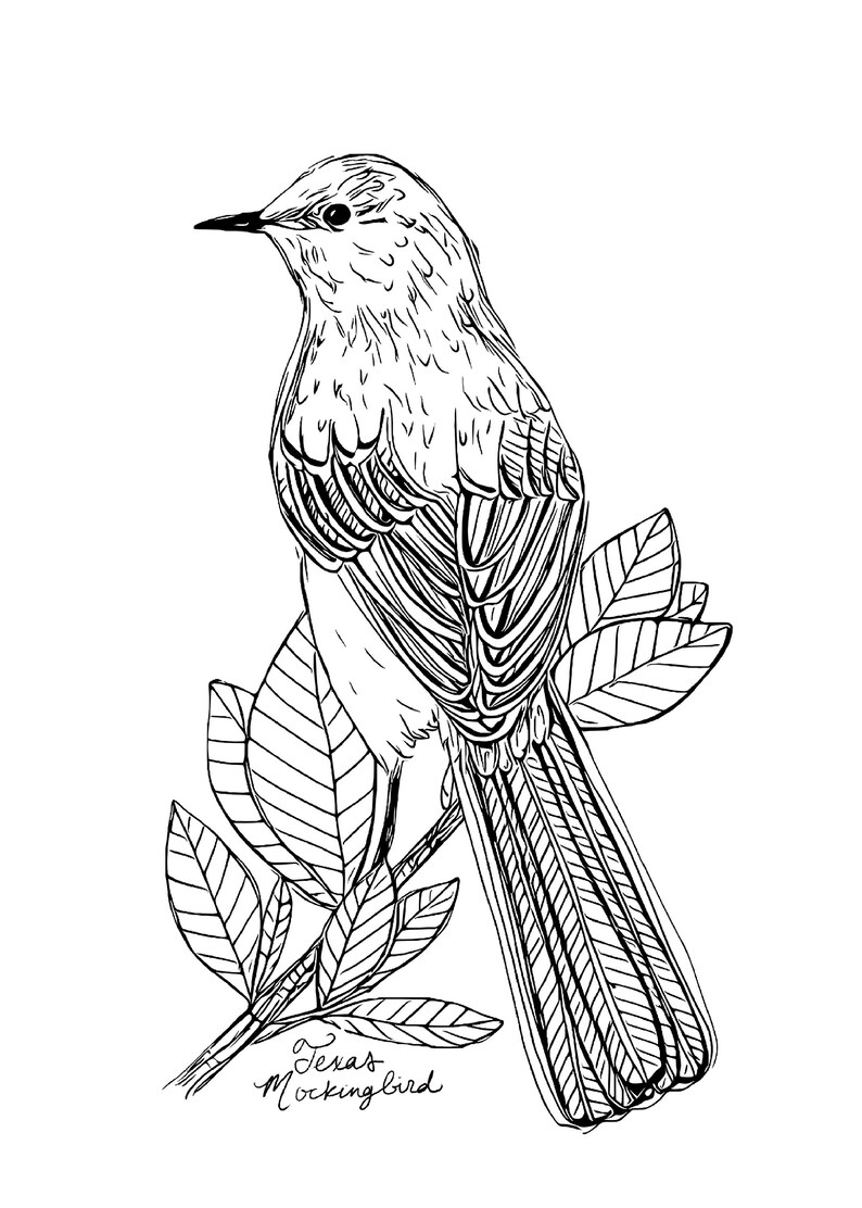 Printable Texas Mockingbird State Bird Art Print / Texas Decor ...