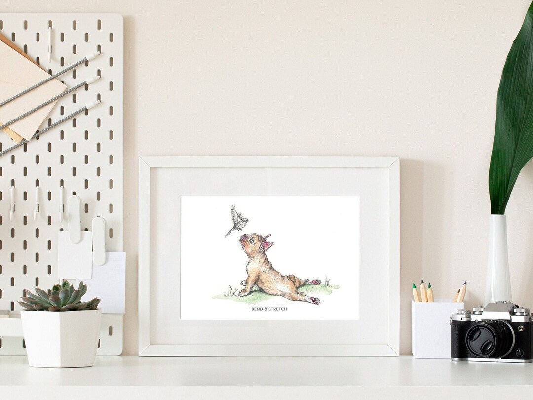 Frenchie 'stretch' COLOUR A4 Print, French Bulldog, Illustration ...