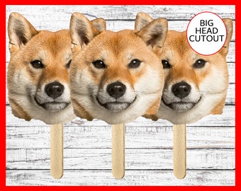 Bachelor Party Big Head Cutouts 12x18 Inch Big Head on a Stick Fun ...