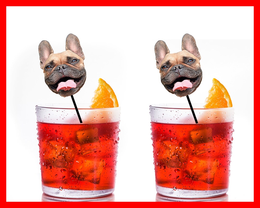 Custom Dog Face Stirrers for Pet Birthdays, Personalized Dog Face Stir ...