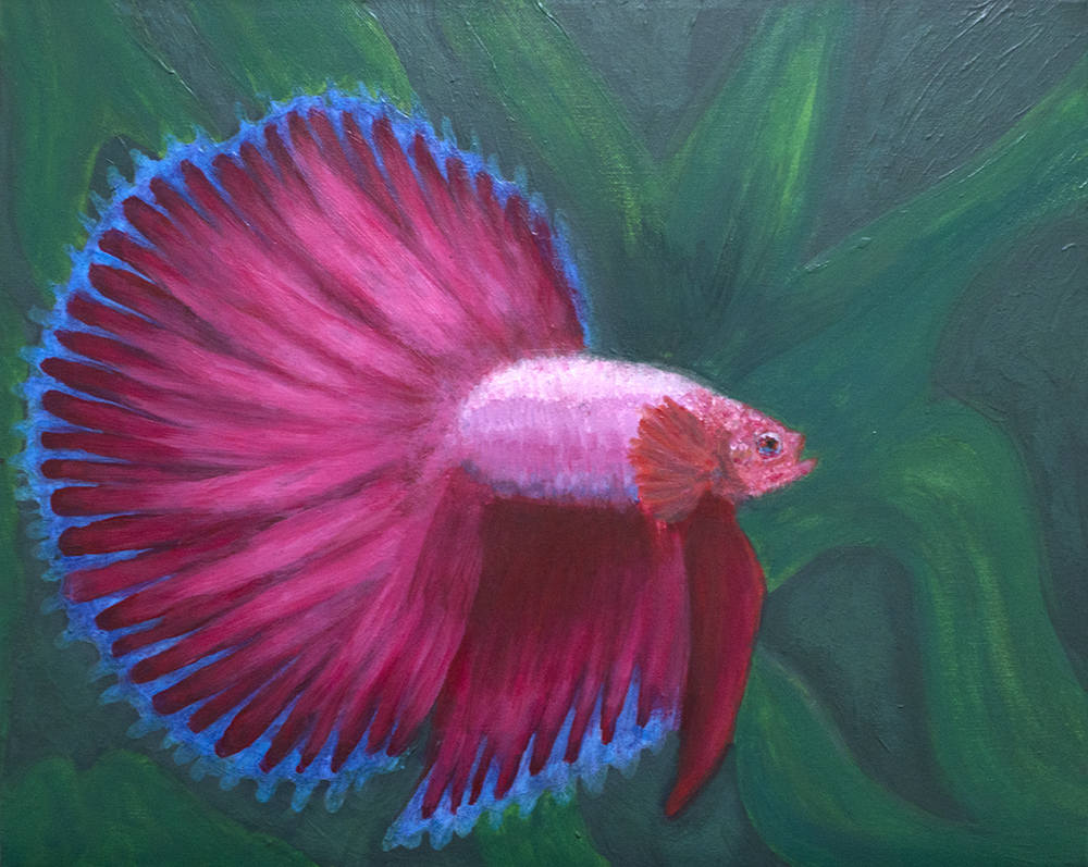 Red Betta Acrylic Fighting Fish - 20 X16 Canvas Painting, Wall Art ...