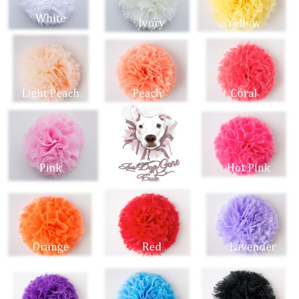 Dog Collar Flower - Etsy